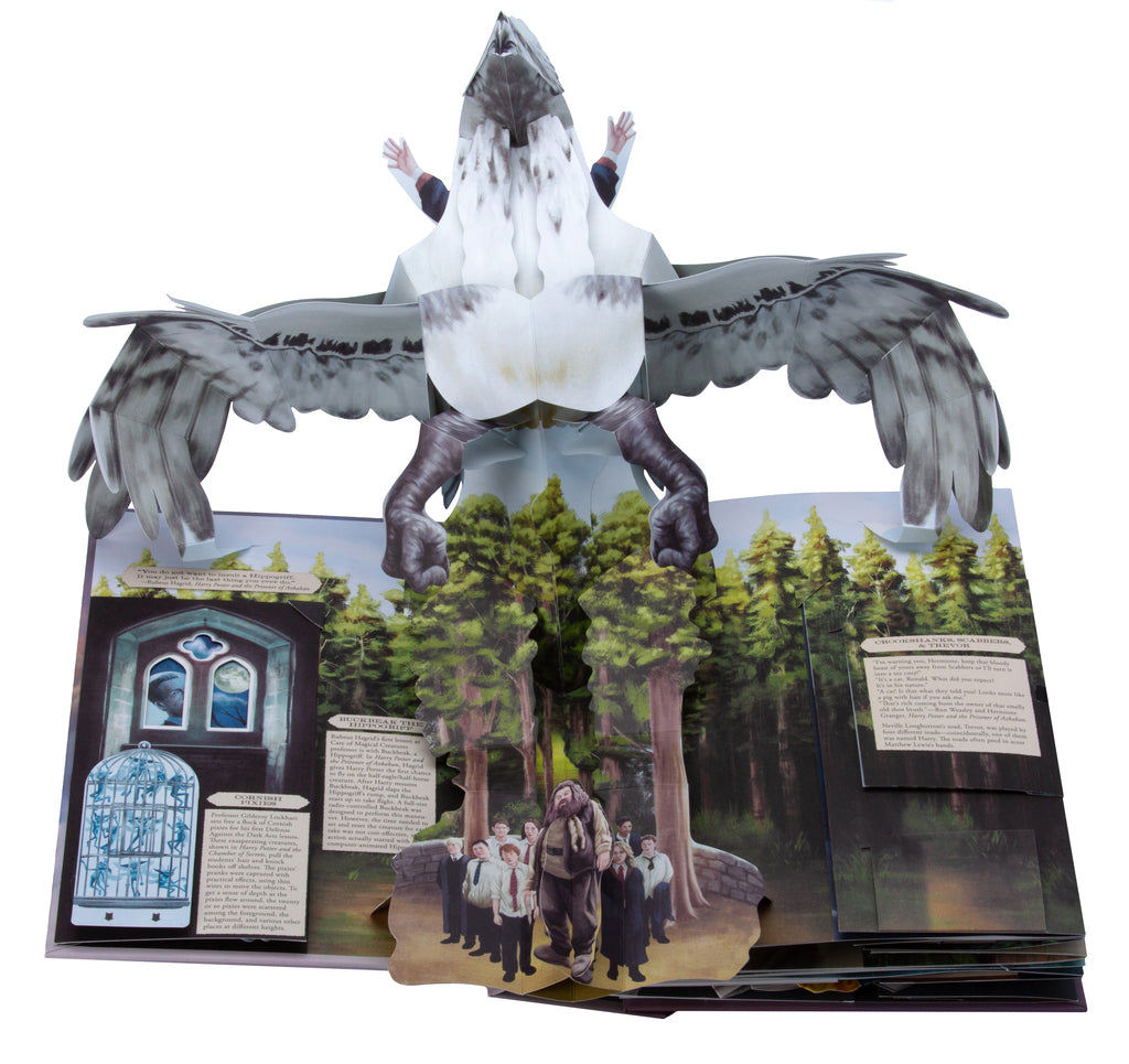 Magical Creatures Pop-Up Interactive Guide – ISABEL DECOR