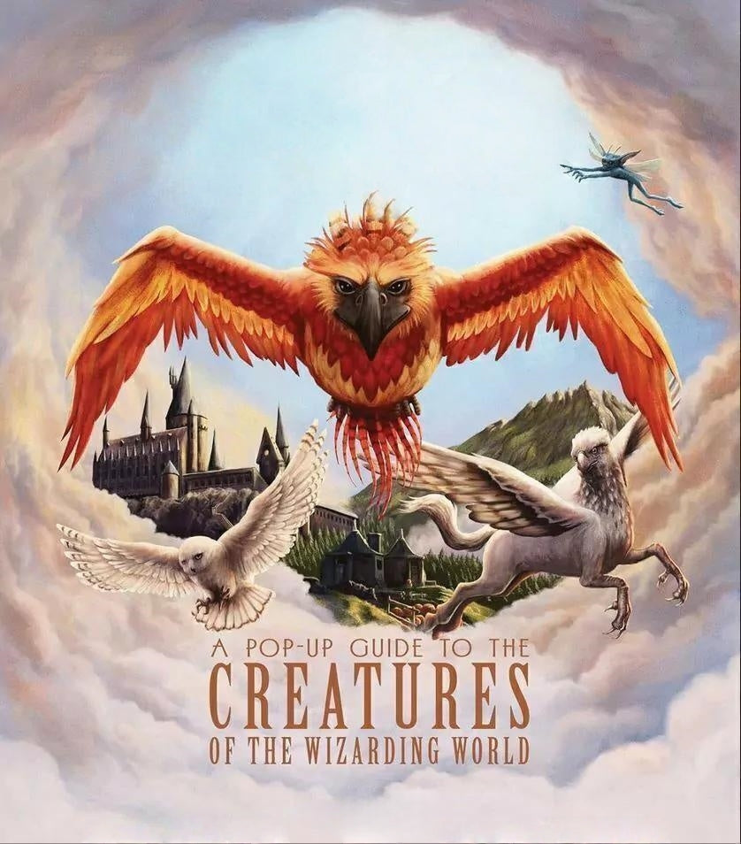 Magical Creatures Pop-Up Interactive Guide – ISABEL DECOR